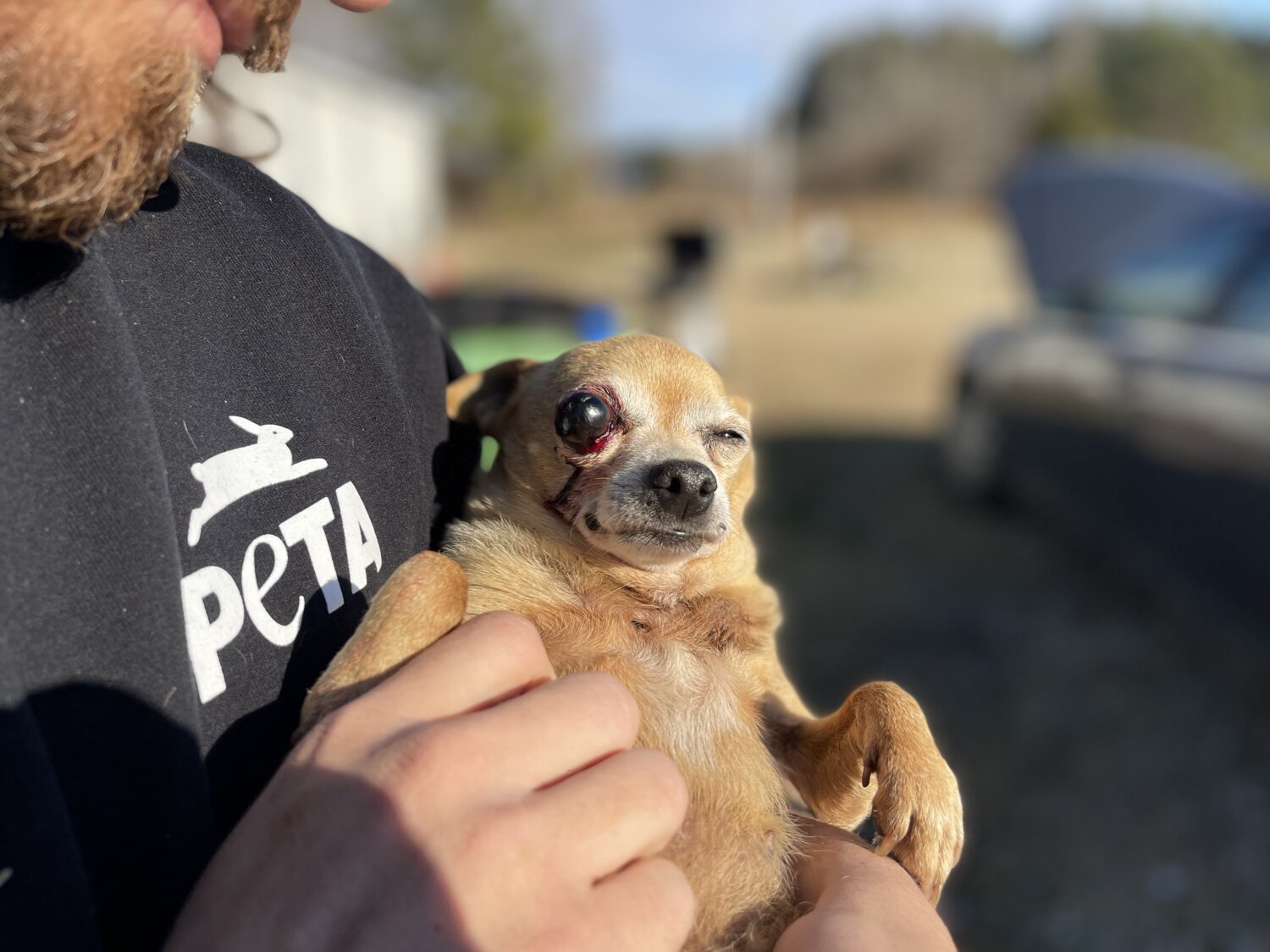 10+ Animals PETA Rescued in 2025: Where Are They Now? | PETA