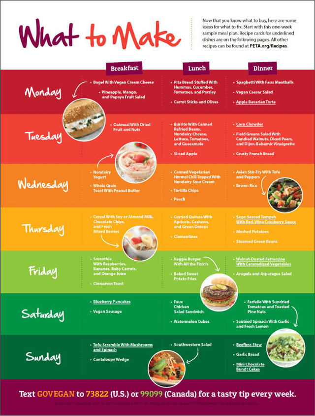 Free Vegan Starter Kit VSK | PETA