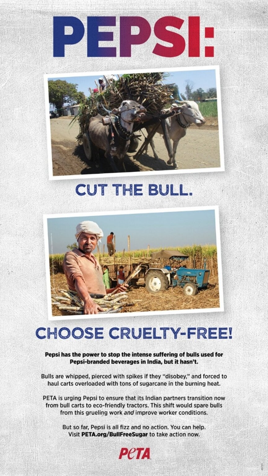 ‘Bulls’ Arrested, Massive Shareholder Resolution Vote | PETA