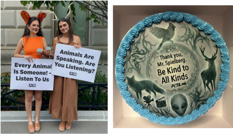 Photos: PETA ‘Alien’ Delivers Cake to Steven Spielberg as Thanks for ...