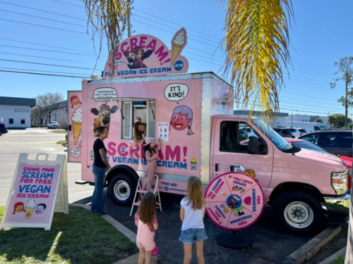 Sweet Relief! PETA Bringing Free Vegan Ice Cream to South Boston After ...