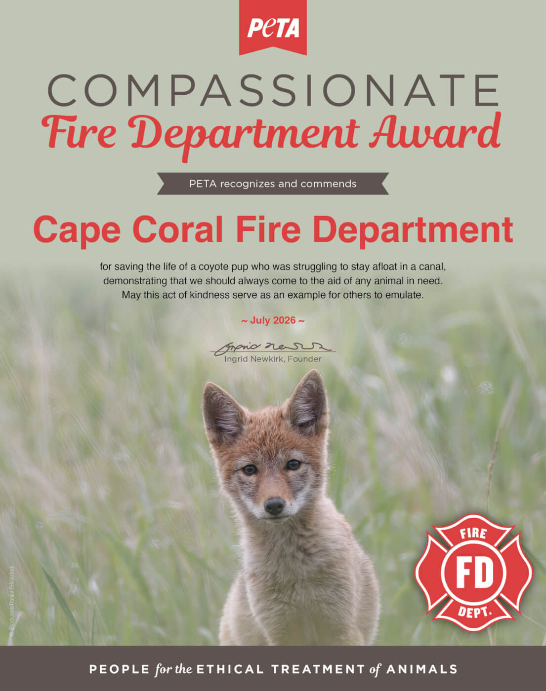 Cape Coral Firefighters Receive PETA Award for Saving Coyote Pup ...