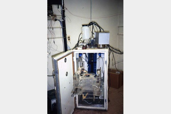 The Silver Spring Monkeys: The Case That Launched PETA | PETA